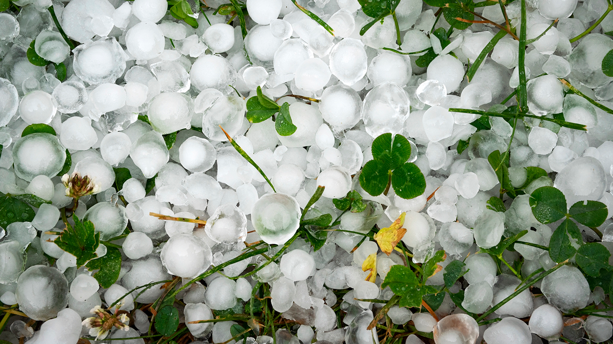 Preparing for hailstorms